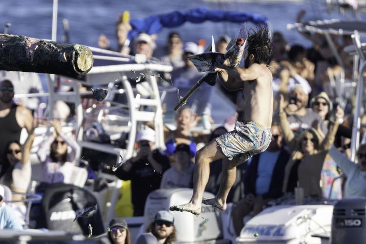Max Allen becomes third member of his family to taste Greasy Pole ...