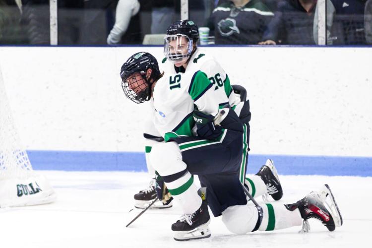 Double OT loss ends Endicott men's hockey season one game short of ...