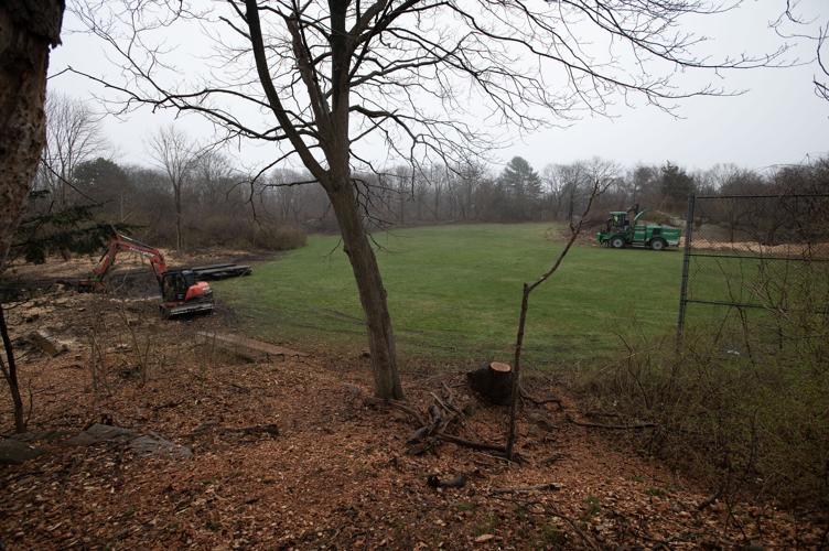 Tree clearing catches East Gloucester neighborhood off guard | Local ...