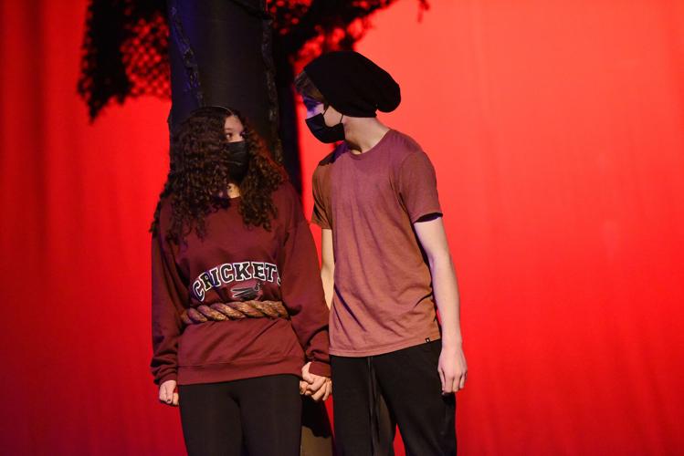 Back on stage: Gloucester HIgh Drama Club staging 'In the Forests of ...