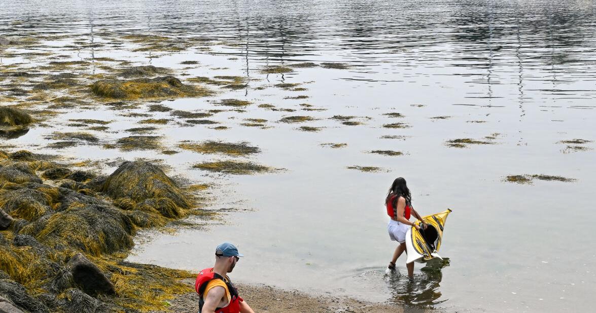 Trails & Sails now in its 24th year offering free activities around ...