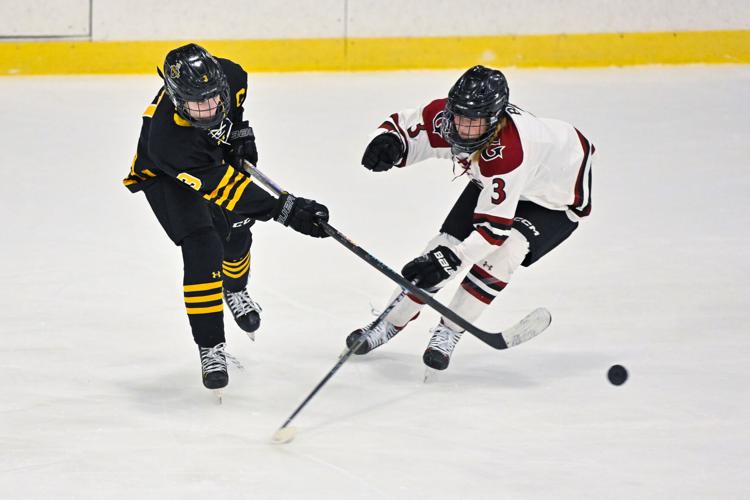 Local area roundup: Gloucester girls hockey suffers narrow defeat to ...