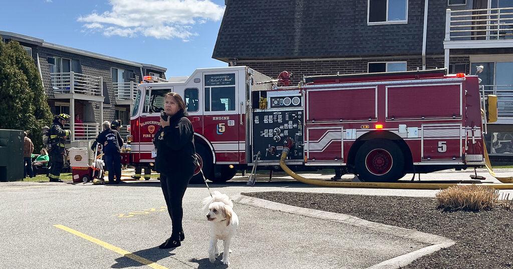 Pets treated for smoke inhalation from kitchen fire | Local News ...