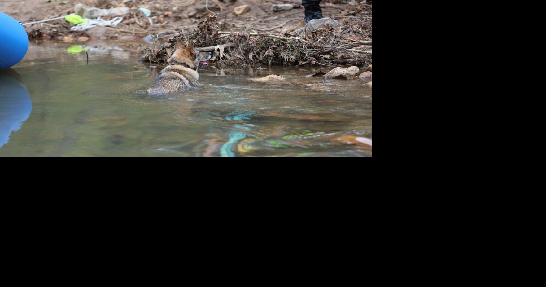 Local support lines up as Hurricane Milton takes aim at Florida | News ...