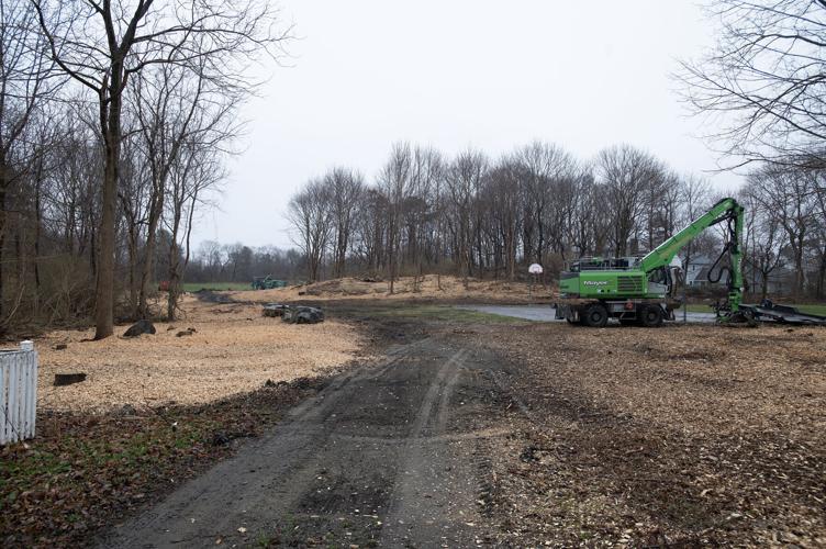 Tree clearing catches East Gloucester neighborhood off guard | Local ...