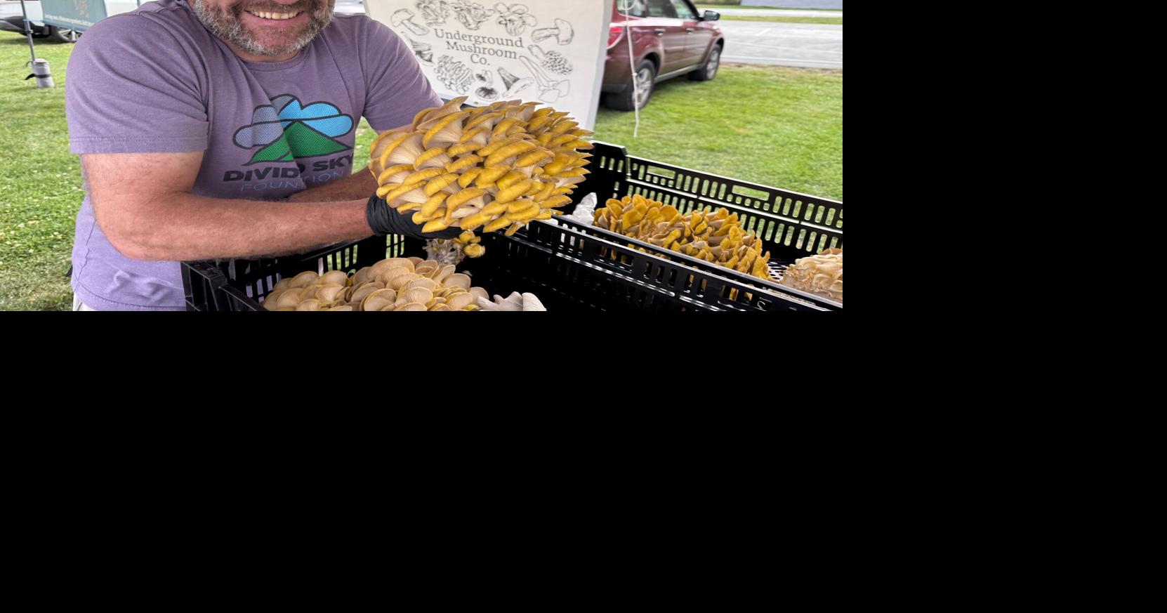 Backyard Growcery to go through mid-October | Local News | gloucestertimes.com