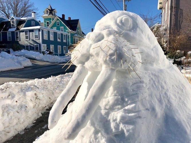 Family creates giant snow walrus | Local News | gloucestertimes.com