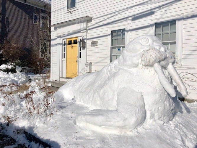 Family creates giant snow walrus | Local News | gloucestertimes.com