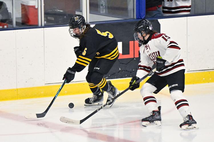 Local area roundup: Gloucester girls hockey suffers narrow defeat to ...