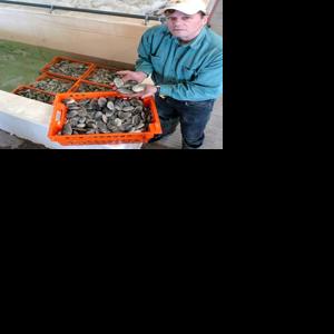 Lawmakers fighting shellfish plant closure | Local News ...