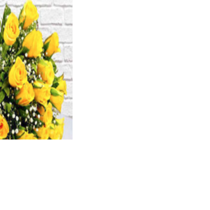 Ginger Timmerman-Yelton | Obituaries | gofountaininn.com