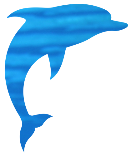 Atlantic Bottlenose Dolphins | Gim Columns | goldenislesmagazine.com