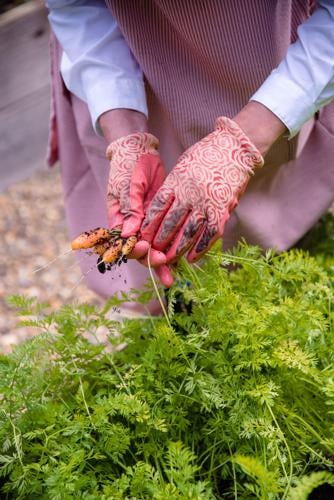Embracing Nature at High Heel Farms | Features | goldenislesmagazine.com