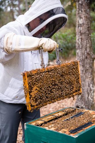 Embracing Nature at High Heel Farms | Features | goldenislesmagazine.com