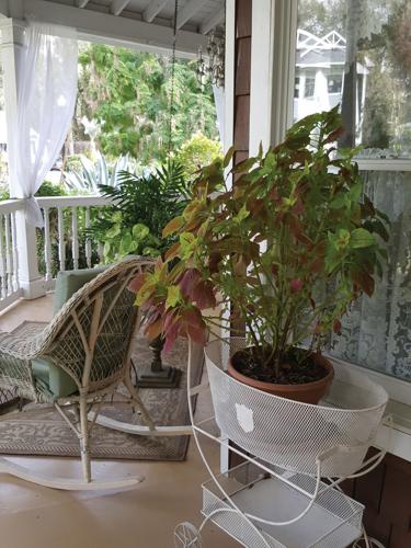 A Walk Through Paradise | Features | goldenislesmagazine.com