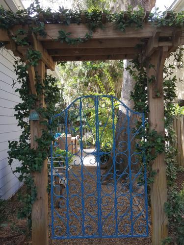A Walk Through Paradise | Features | goldenislesmagazine.com