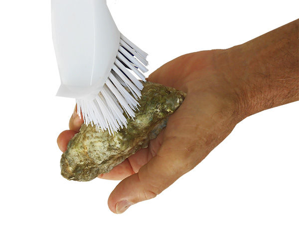 How to safely shuck an oyster | | goldenislesmagazine.com