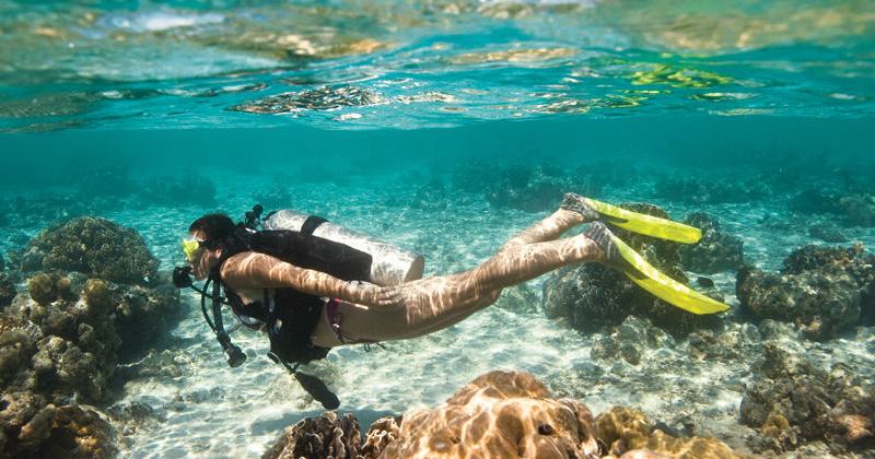 Diving into the deep | Gim Columns | goldenislesmagazine.com