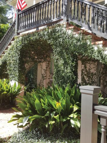 A Walk Through Paradise | Features | goldenislesmagazine.com