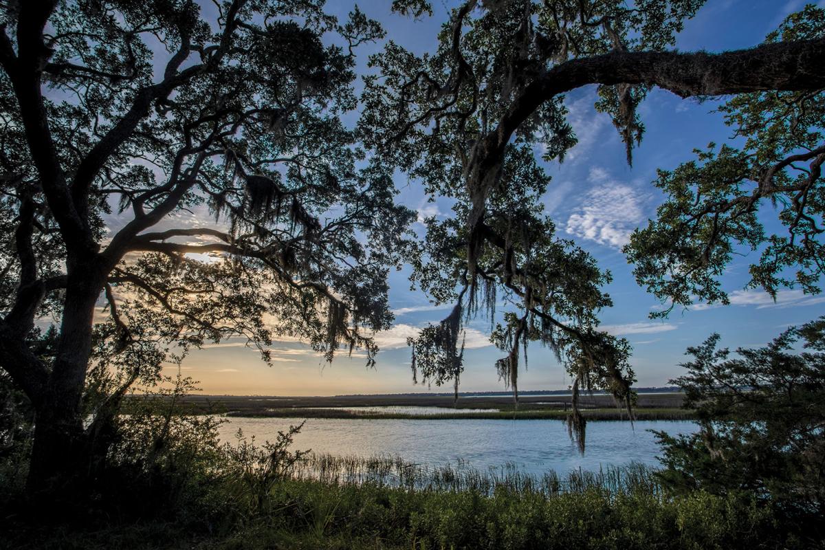 Musings About Musgrove | Features | goldenislesmagazine.com