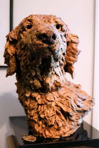 David Millman: The Renaissance Man | Features | goldenislesmagazine.com