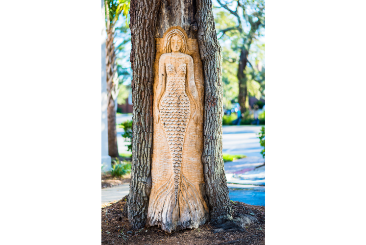 faces in trees st simons