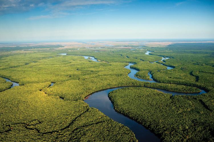 The Abundant Beauty of Georgia's Coast | Features | goldenislesmagazine.com