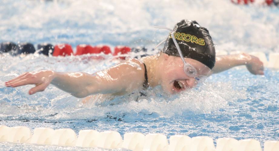 PREP GIRLS SWIMMING: Concord wins sectional; Northridge, Wawasee have ...