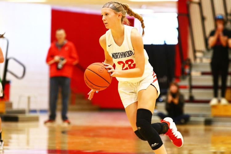 GALLERY: NorthWood girls basketball faces Bremen at Huntington North 3A ...