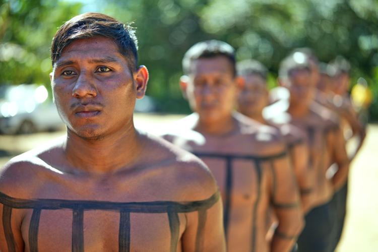 In Brazil’s Cerrado region, Indigenous fire practices reshape wildfire ...