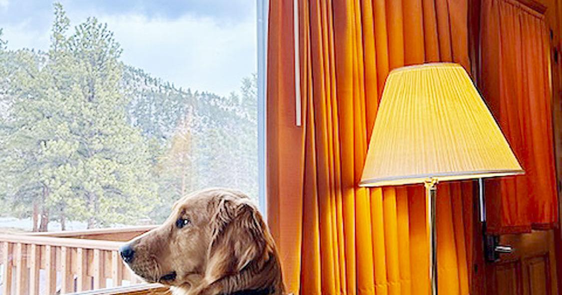 RACHEL SHENK: Safe and sound after an arctic blast of a road trip ...