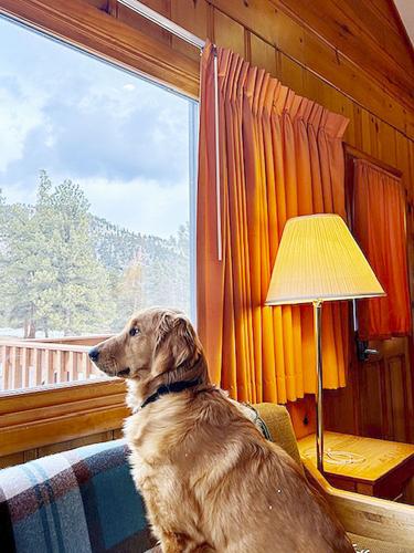 RACHEL SHENK: Safe and sound after an arctic blast of a road trip ...