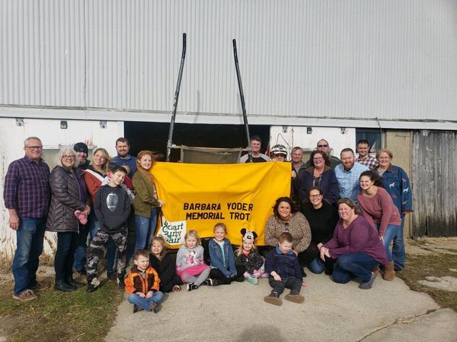 HARNESS RACING: Historic barn used by legendary driver is coming down ...