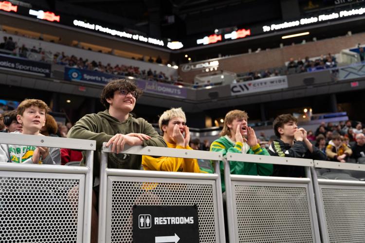 PREP BOYS WRESTLING: Northridge’s Henke places fourth at State Finals ...