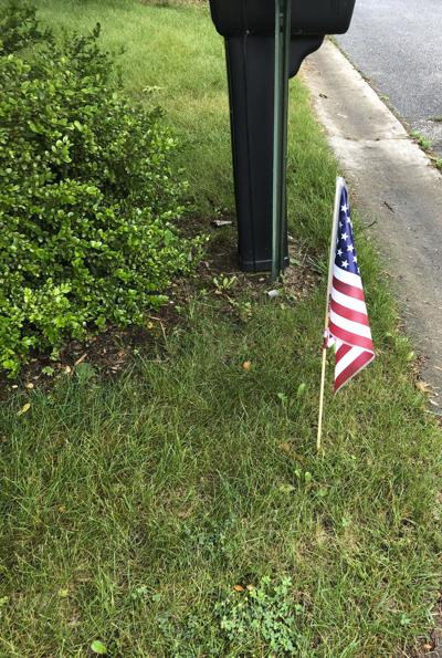 DENISE FEDOROW: Fun with the family on the Fourth | News | goshennews.com