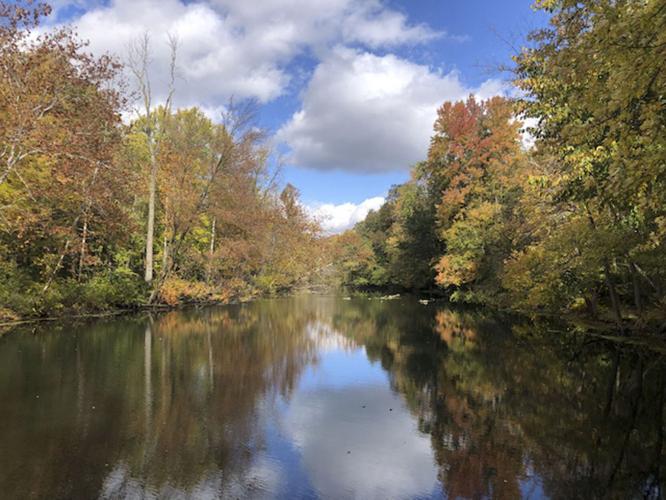 RACHEL SHENK: An ode to the fall colors of October | | goshennews.com