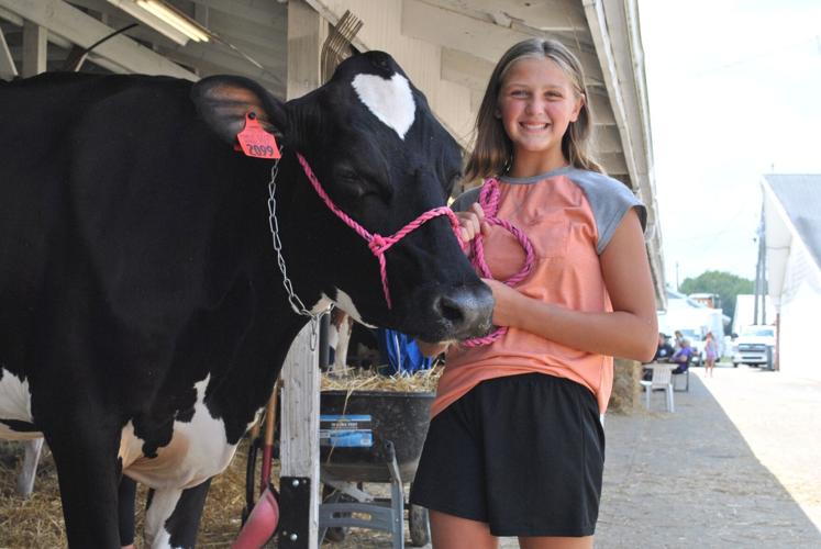 A Wakarusa girl and her cow compete | News | goshennews.com