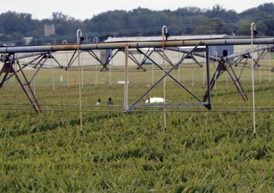 Plane lands in corn field, no injuries | Local News | goshennews.com
