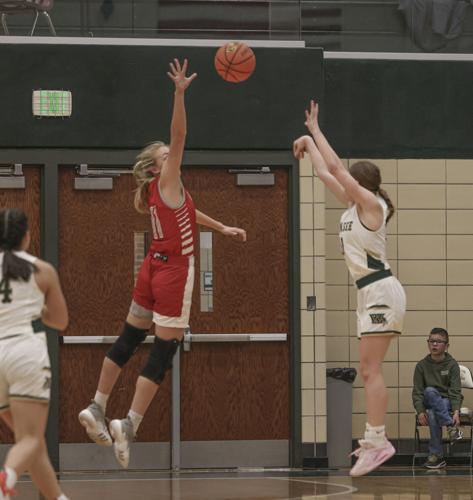 PREP GIRLS BASKETBALL: Strong finish for Wawasee secures win over ...