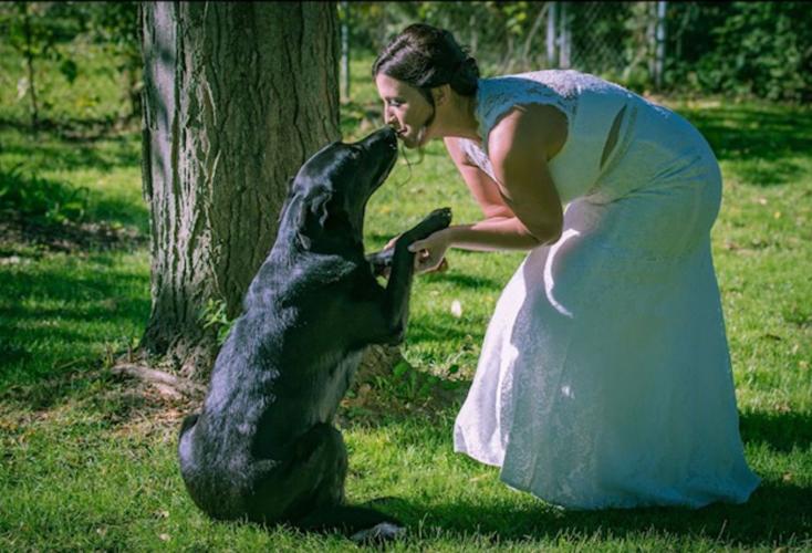 Goshen native shares memory of dog Zeek | News | goshennews.com