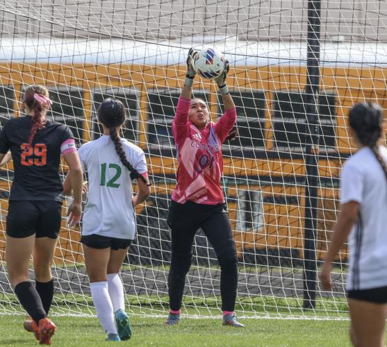 PREP GIRLS SOCCER: Four unanswered goals help Warsaw top Concord in ...
