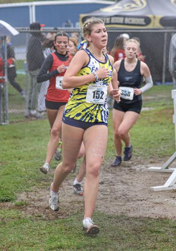 PREP CROSS COUNTRY: Area runners heading from New Prairie Regional to ...