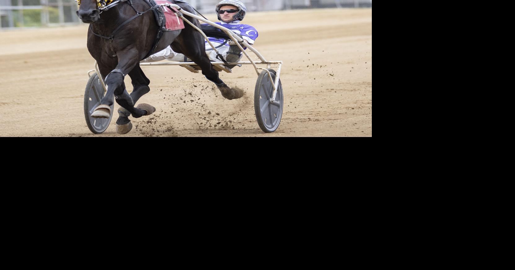 PURSUIT OF 100: Coy claims milestone win, largest Tuesday harness ...
