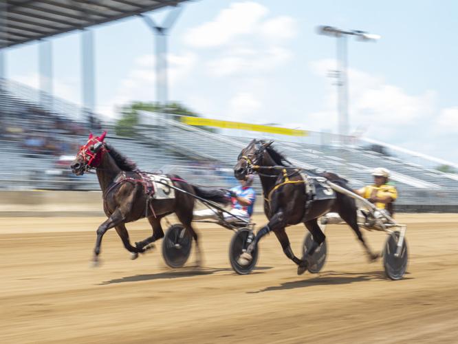 PURSUIT OF 100: Coy claims milestone win, largest Tuesday harness ...