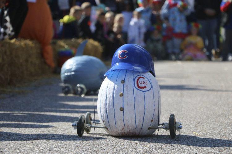 Cubs-themed pumpkin claims championship at Middlebury Pumpkin Race ...