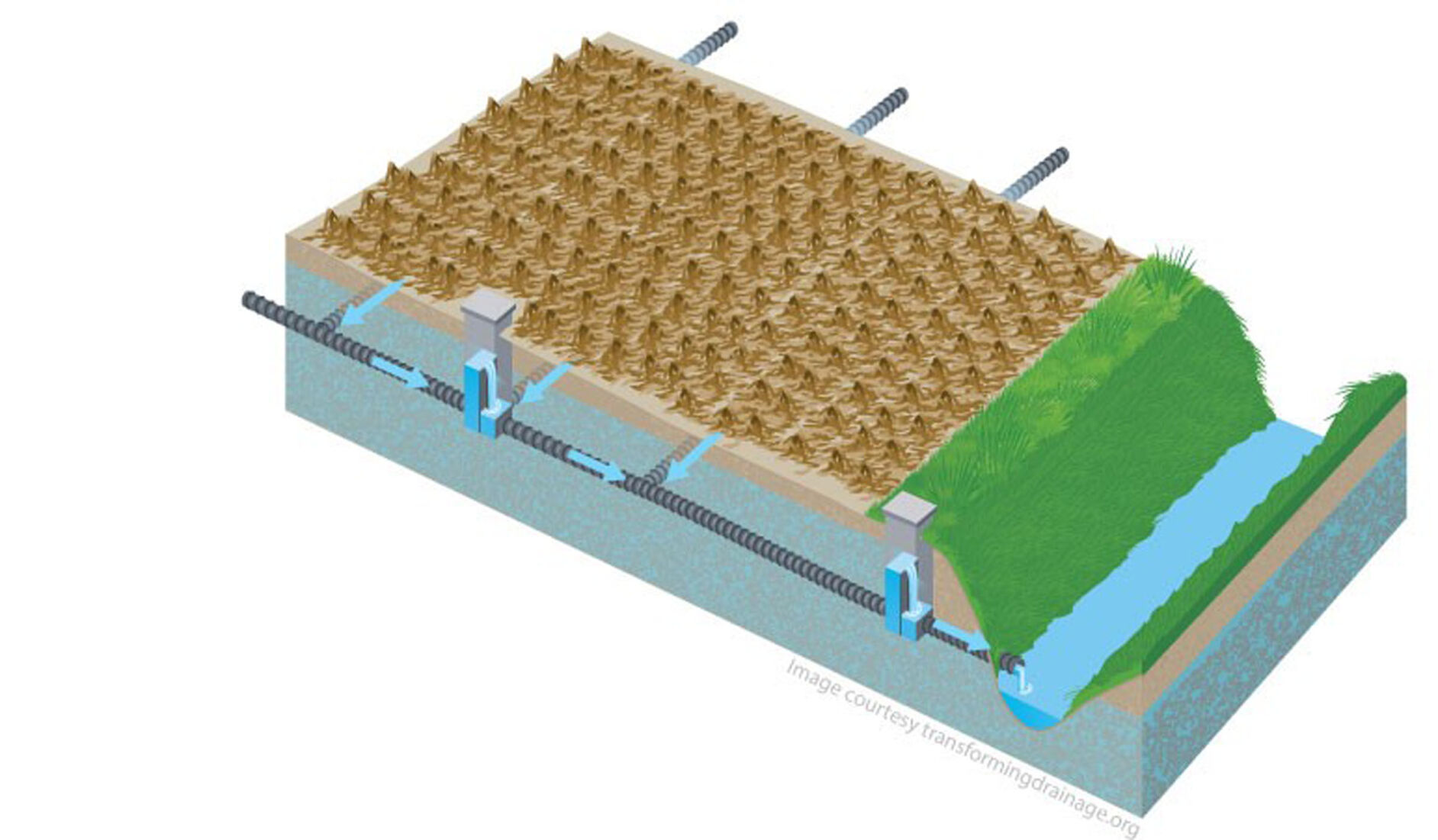 JEFF BURBRINK: Using tile drainage for more than just drainage ...