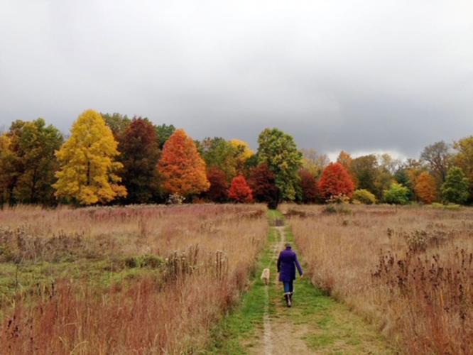 RACHEL SHENK: The extraordinary amid the ordinary | News | goshennews.com