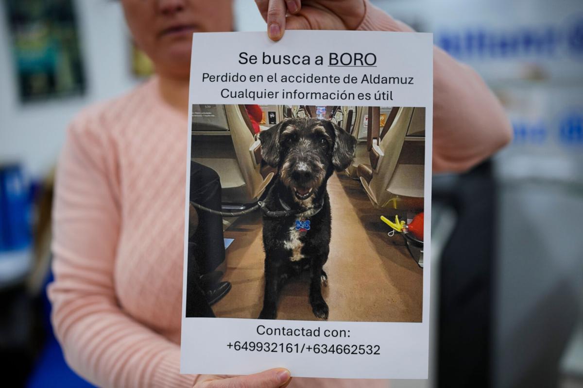 Spain Train Crash Lost Dog | National News | goshennews.com