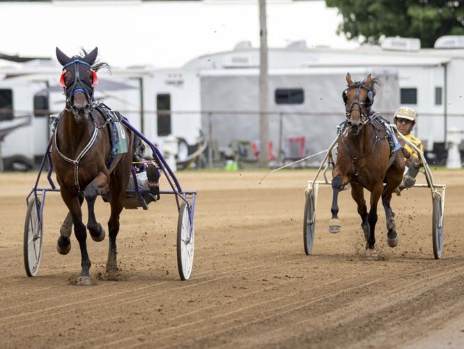 PURSUIT OF 100: Coy claims milestone win, largest Tuesday harness ...