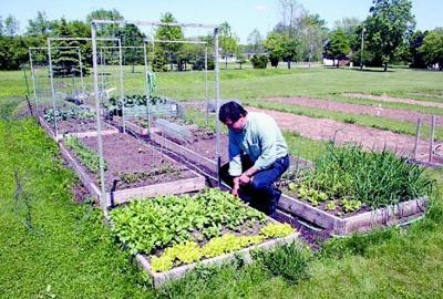 GROWING IN POPULARITY | Local News | goshennews.com